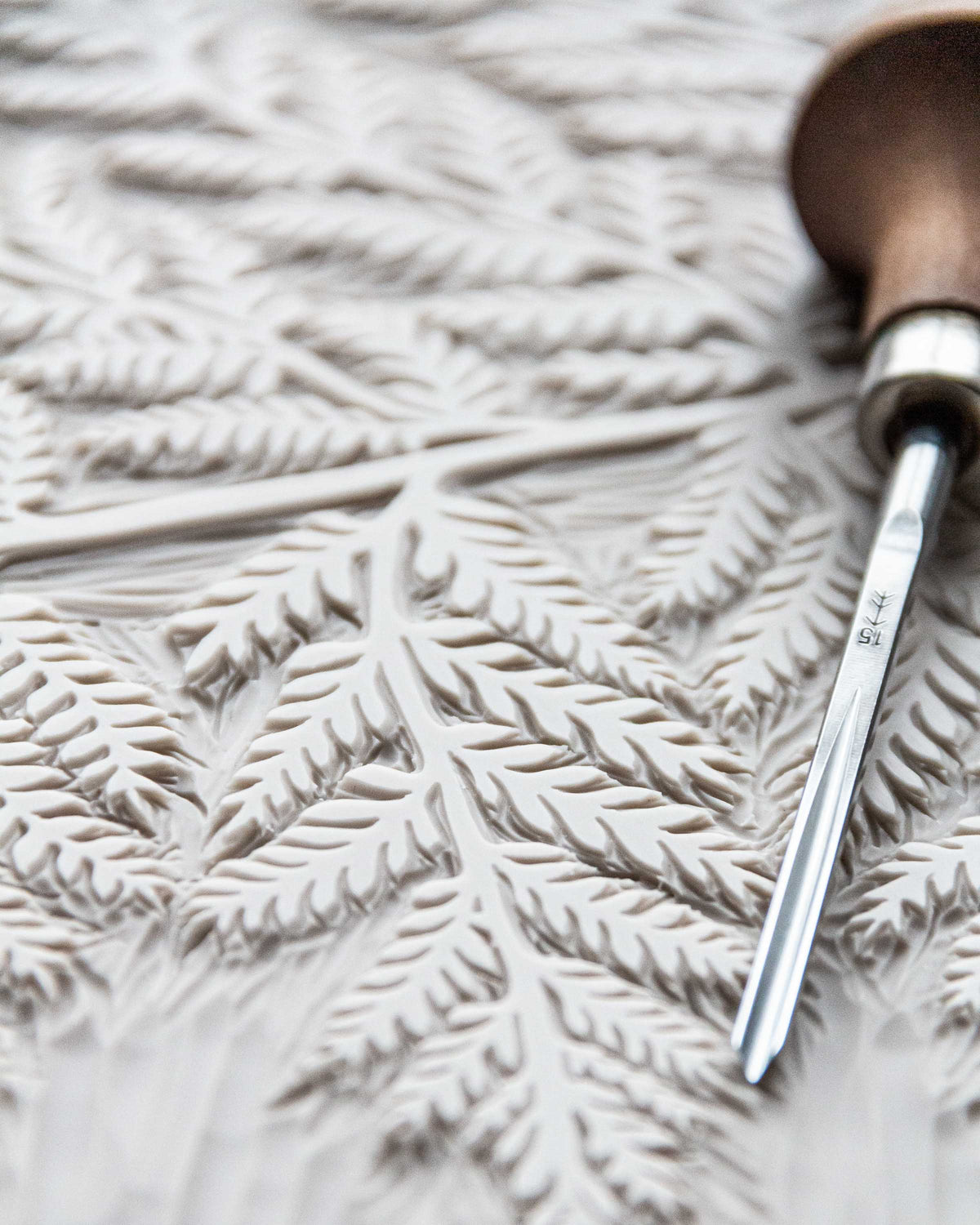 Pan Studio 〰️ natur-inspirierte Wandkunst