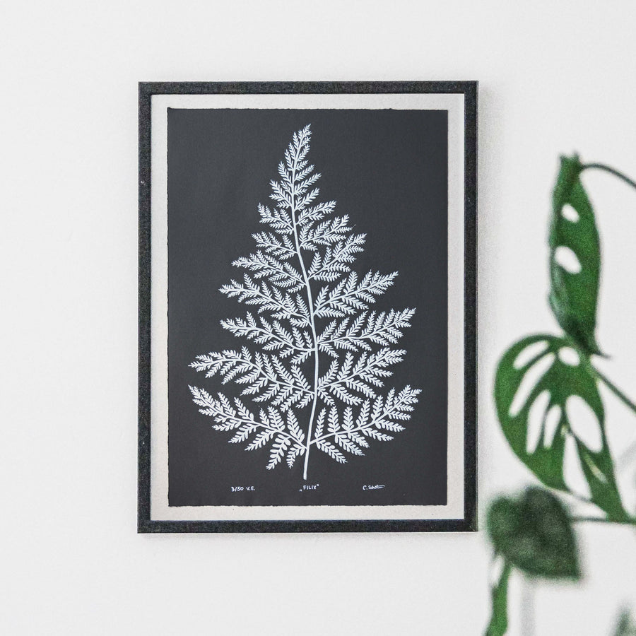 Pan Studio 〰️ natur-inspirierte Wandkunst